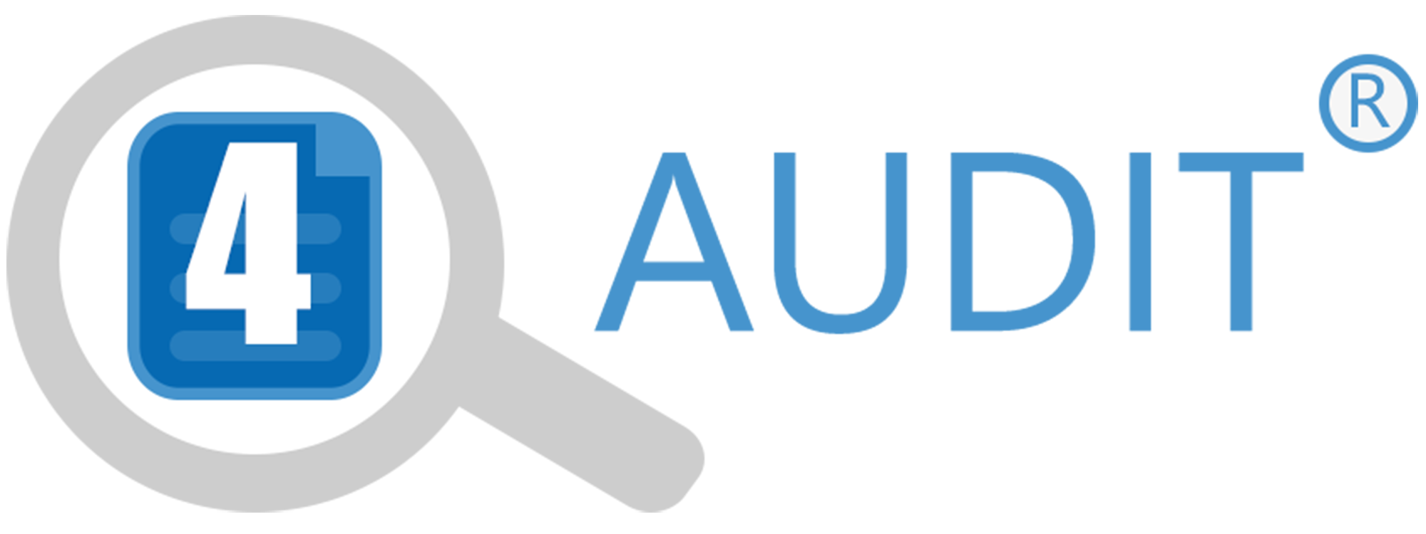Big 4Audit - Search Engine for Audit & Risk Services